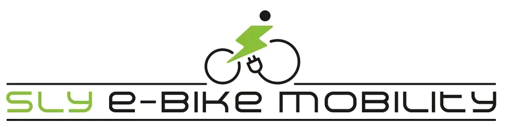 Assistenza Tecnica & Riparazione Ebike, Scooter e Monopattini